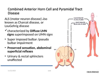 Neurolocalization Spinal Cord wale fi.pptx