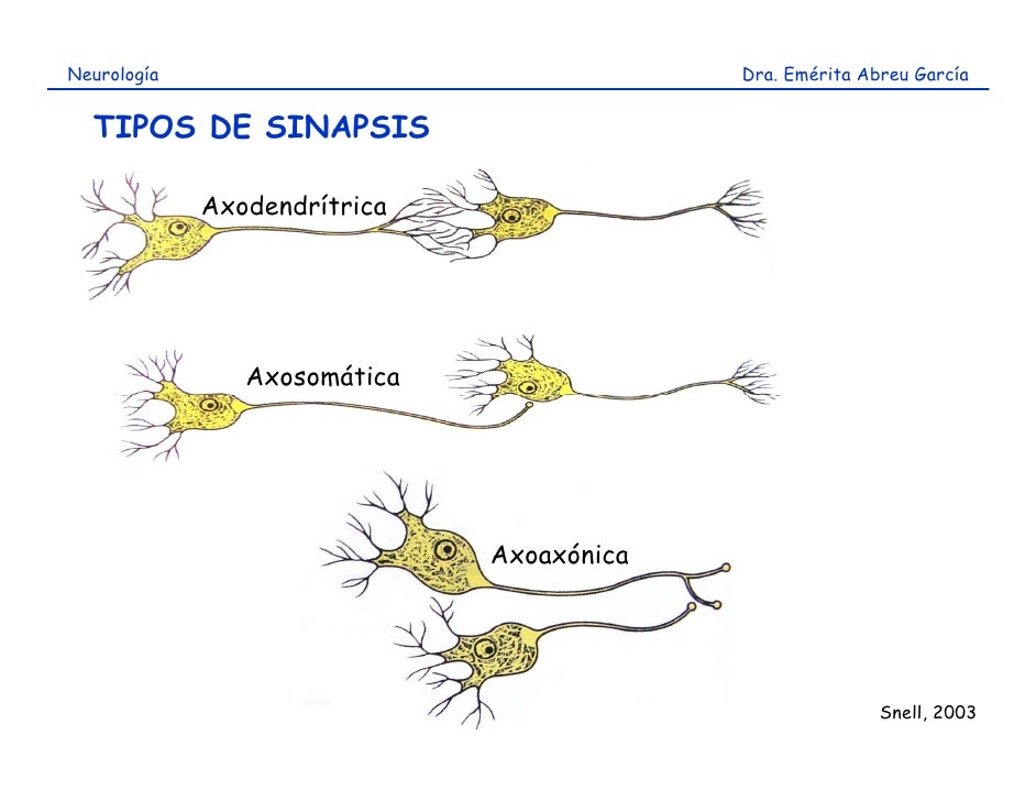 Neurología