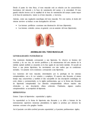 Tono Muscular, patologias y evaluaciones | DOCX