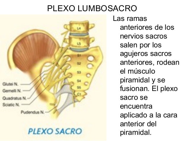 Neurologia de miembro inferior