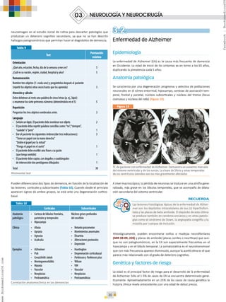 Neurologia y neurocirugia cto | PDF