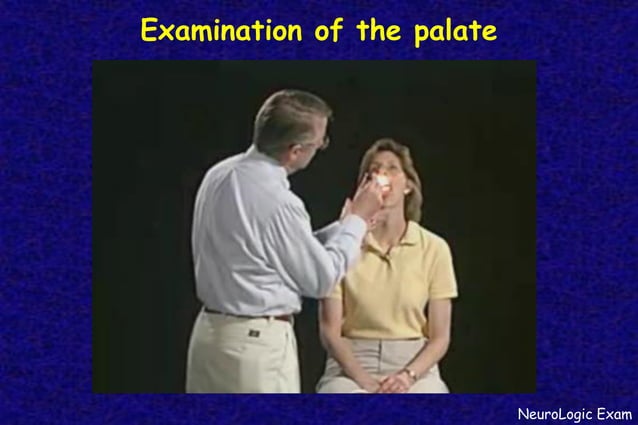 neurologic-examination.pdf