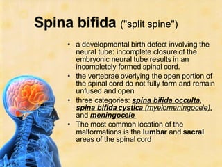 Neurological Disorders | PPT