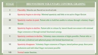 Neurological Approaches | PPTX | Brain and Nervous System Disorders ...