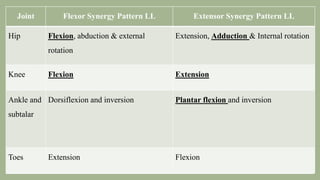 Neurological Approaches | PPTX