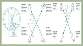 Neurological Approaches | PPTX