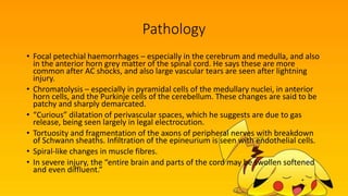 Neurological Aspects of Lightning and Electrical Injuries | PPT