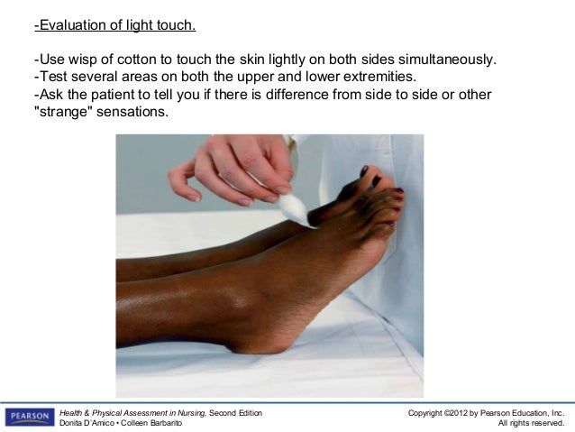 Neurological assessment