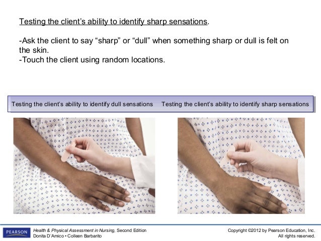 Neurological assessment