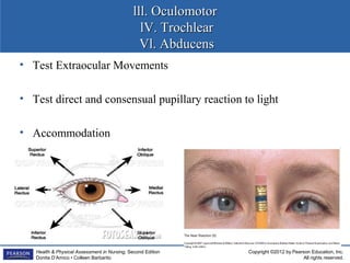 Neurological assessment | PPT