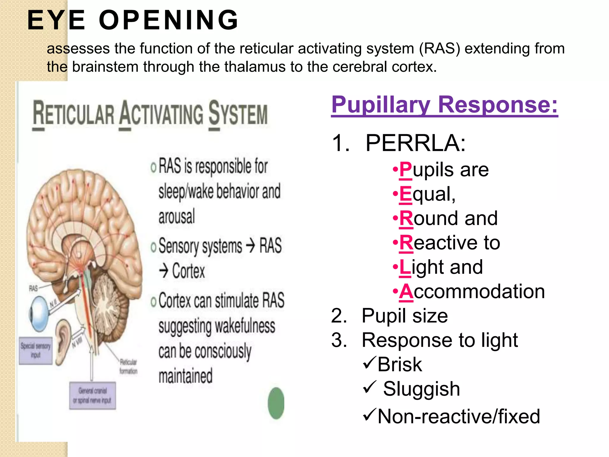 Neurological assessment. | PPTX