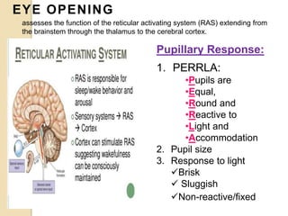 Neurological assessment. | PPTX