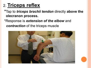 Neurological assessment | PPTX