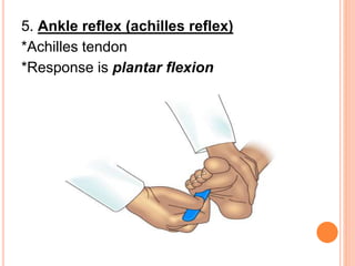 Neurological assessment | PPTX