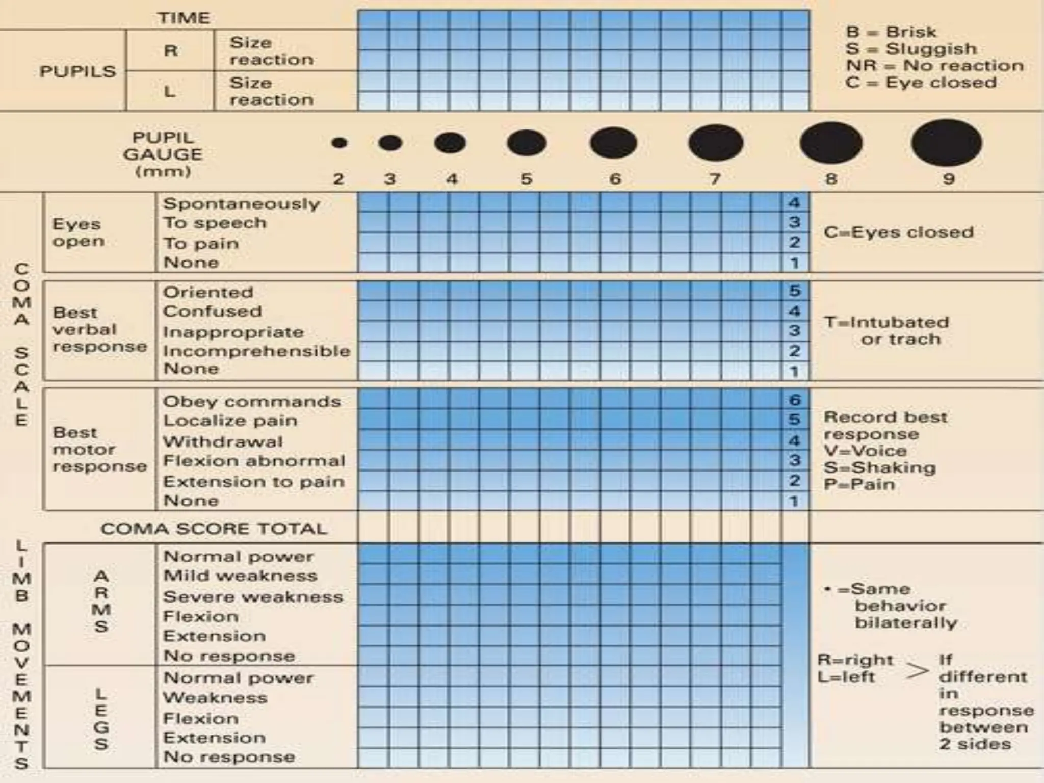 Neurological Assessment for nursing students ppt | PPT