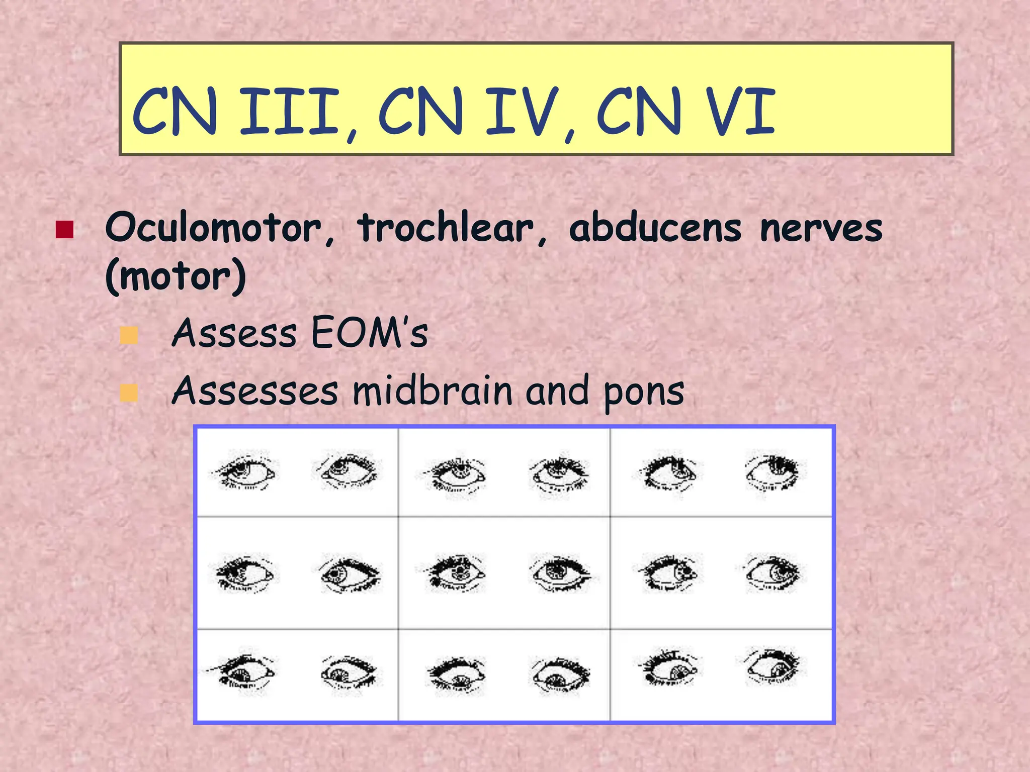 Neurological Assessment for nursing students ppt | PPT