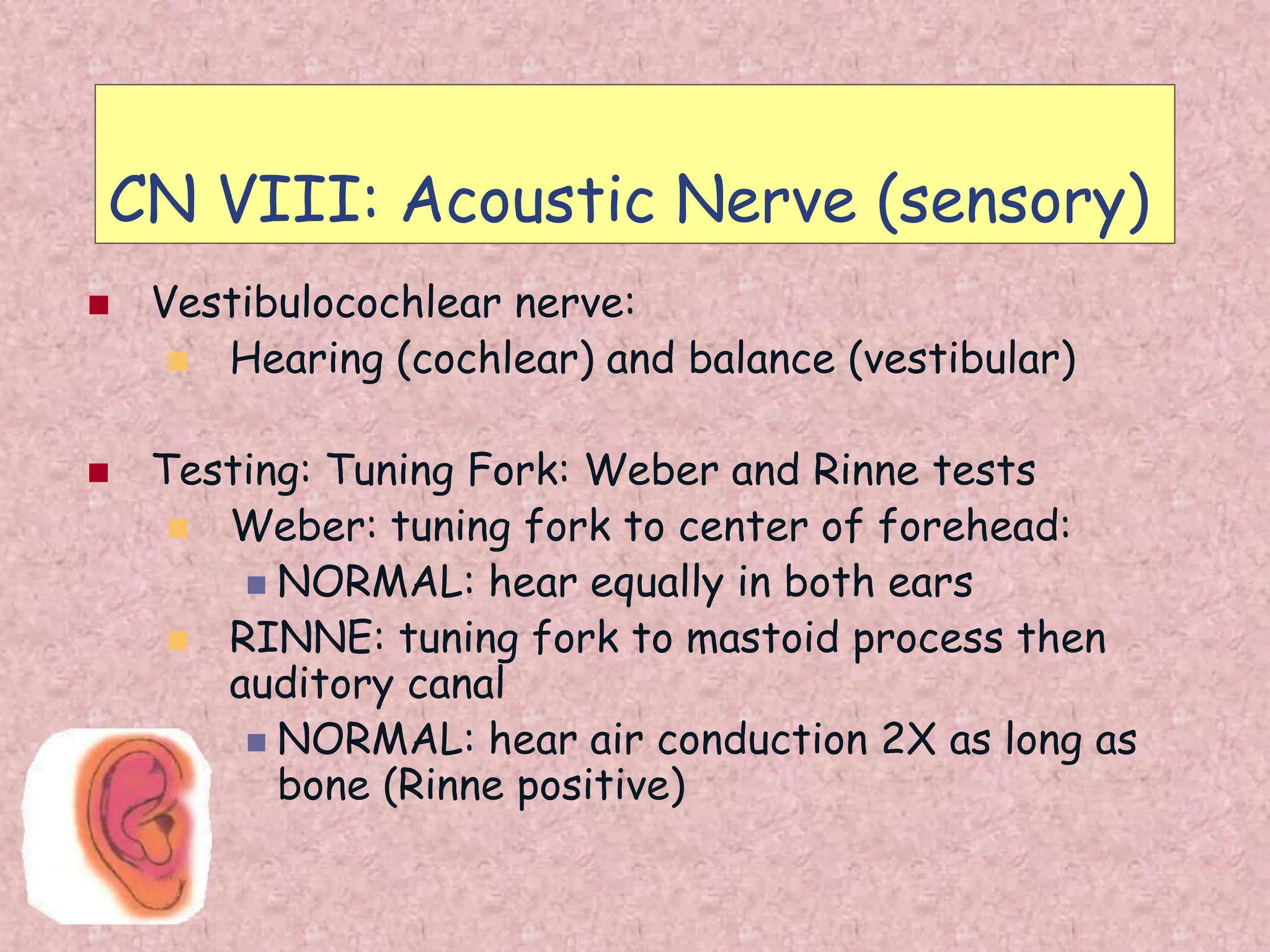 Neurological Assessment for nursing students ppt | PPT
