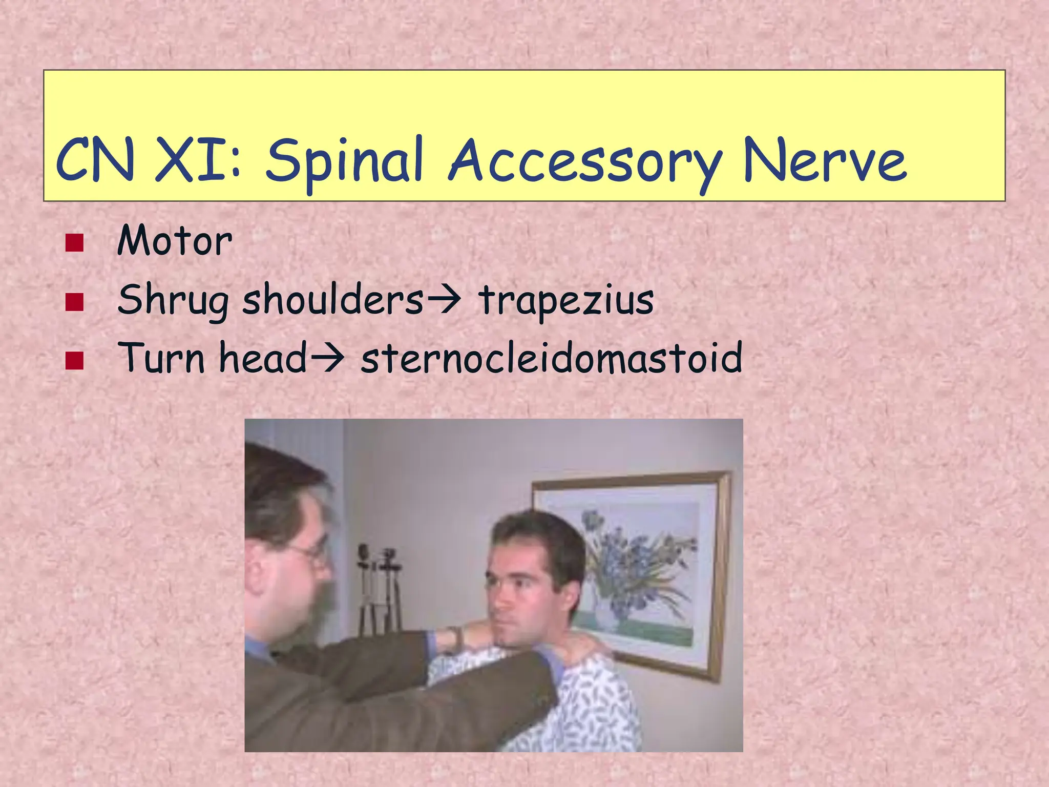 Neurological Assessment for nursing students ppt | PPT