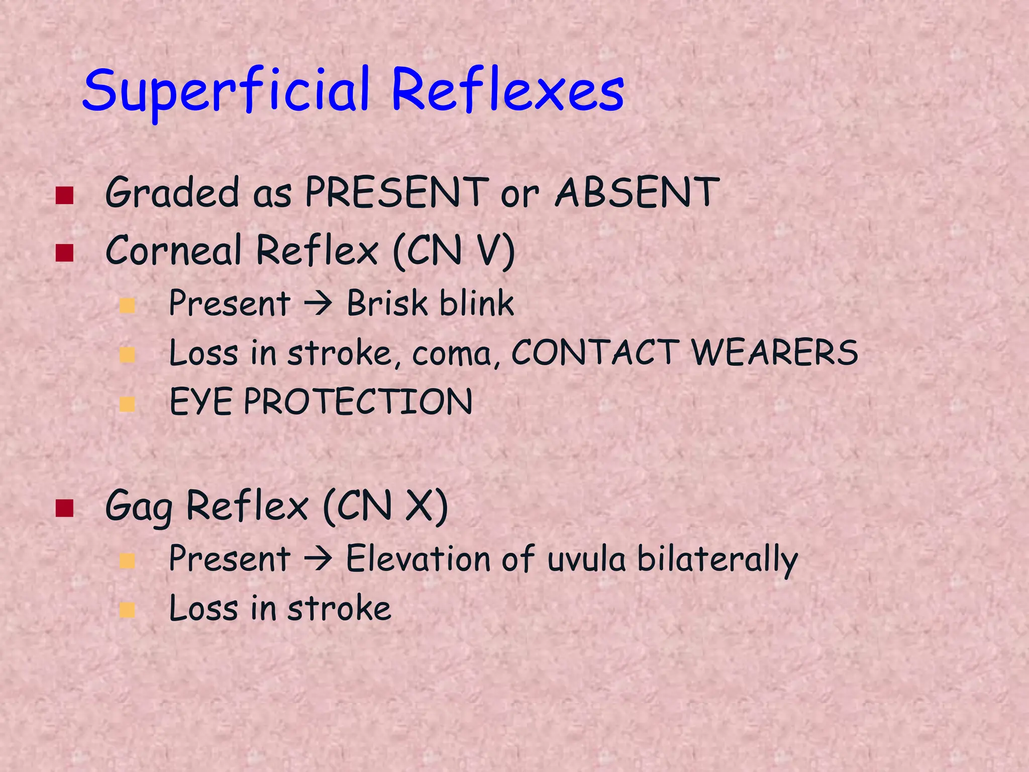 Neurological Assessment for nursing students ppt | PPT