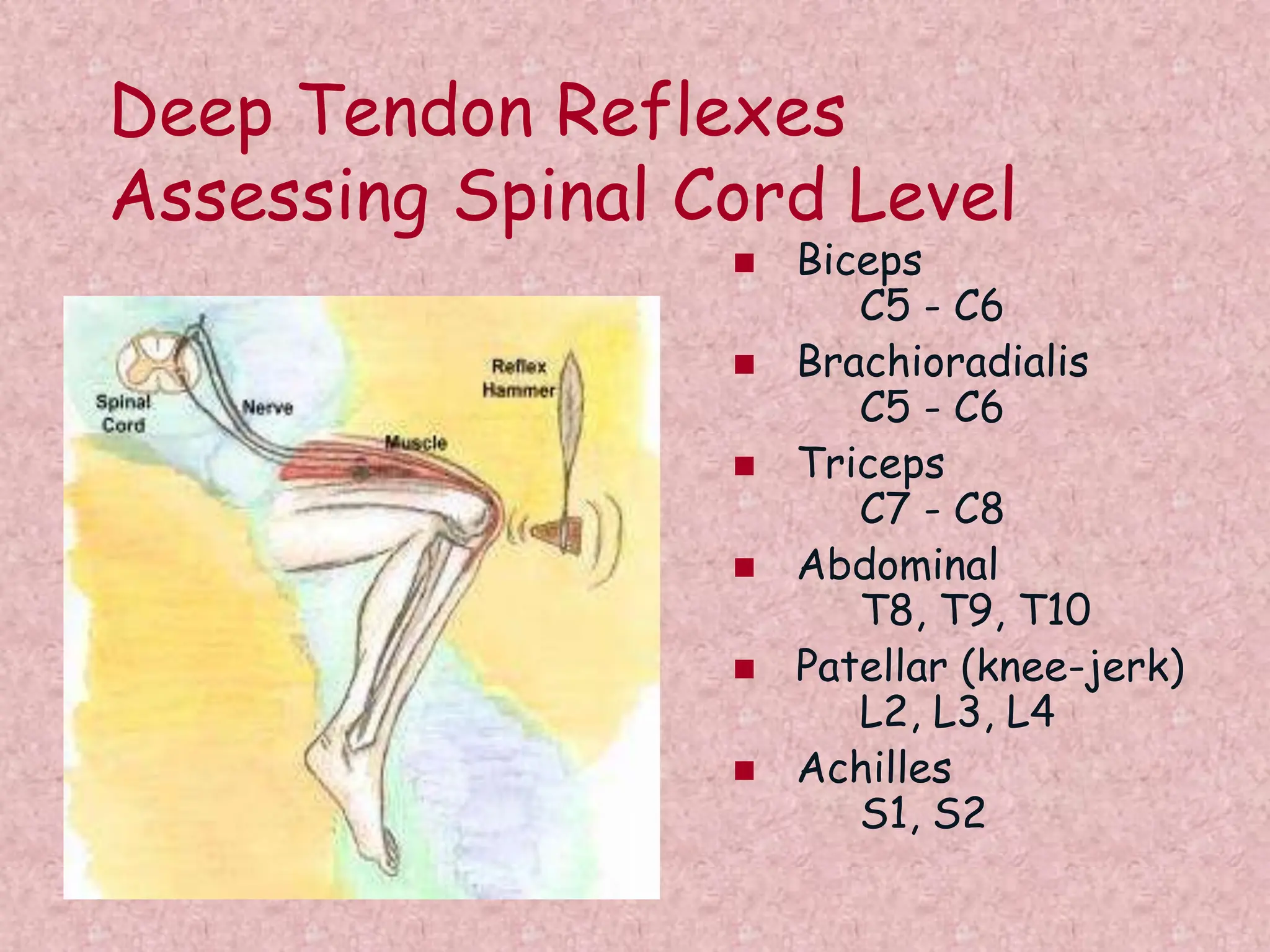 Neurological Assessment for nursing students ppt | PPT