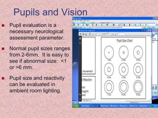 Neurological Assessment for nursing students ppt | PPT