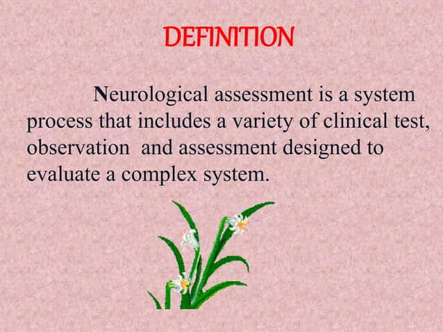 Neurological Assessment for nursing students ppt | PPT | Brain and ...