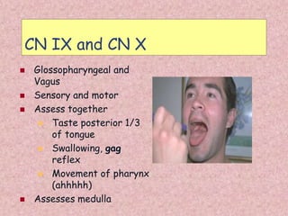 Neurological Assessment for nursing students ppt | PPT