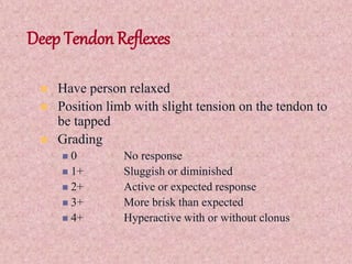 Neurological Assessment for nursing students ppt | PPT