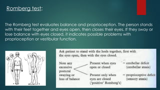 NEUROLOGICAL ASSESSMENT.ppt . | PPT