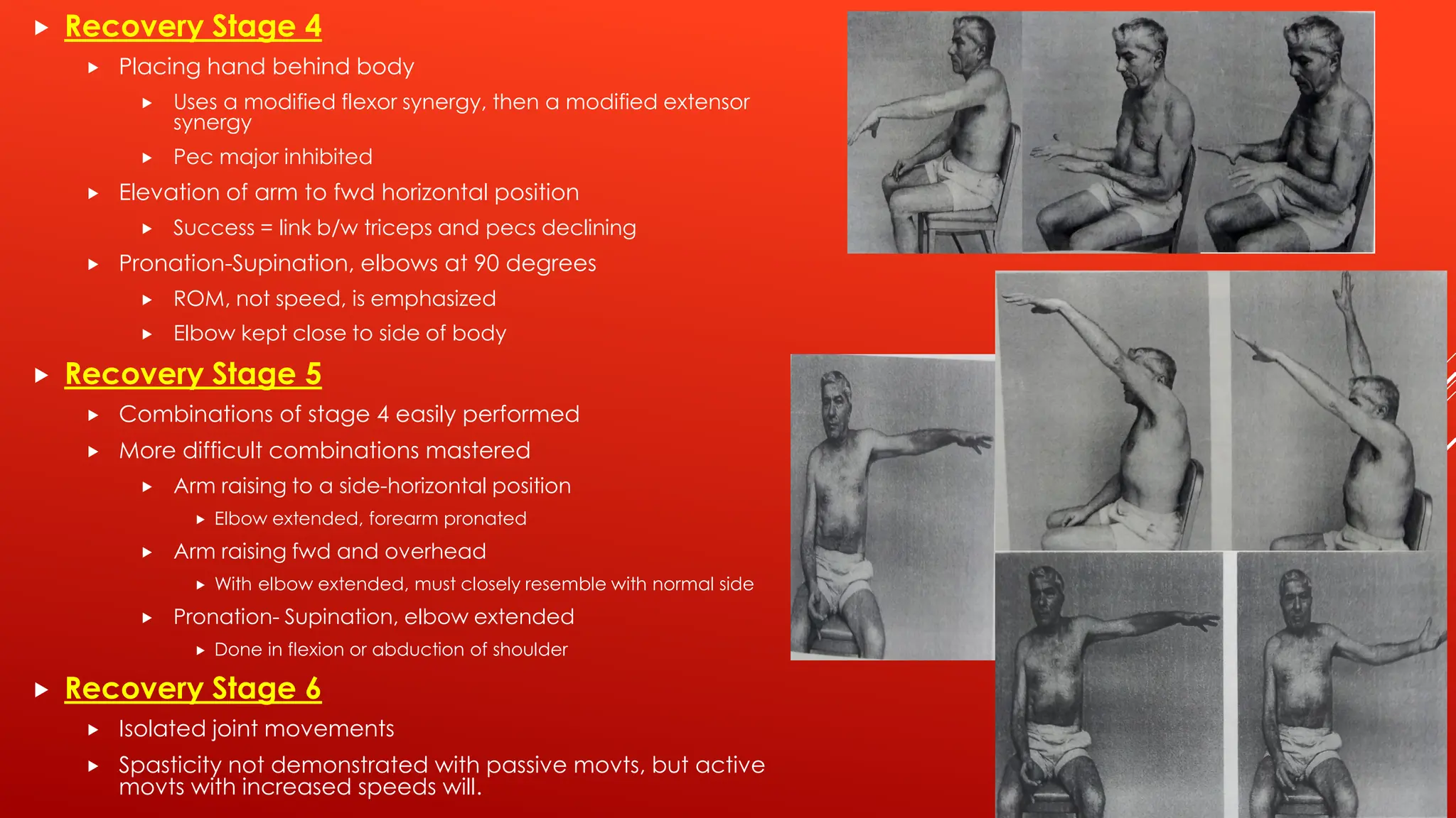 Neurological Assessment ahajsjshwvsv.pdf