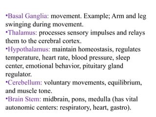 Neurological Assessment for nursing students (1).pptx