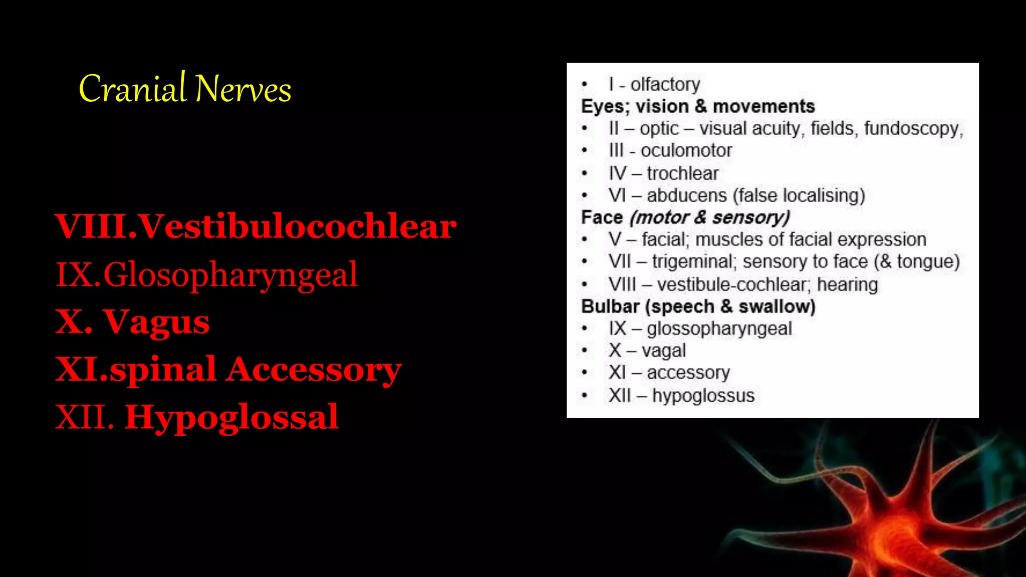 Assessment of Pediatric Nerves System | PPT