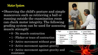 Assessment of Pediatric Nerves System | PPT