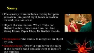 Assessment of Pediatric Nerves System | PPT