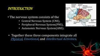Assessment of Pediatric Nerves System | PPTX