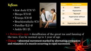 Assessment of Pediatric Nerves System | PPT