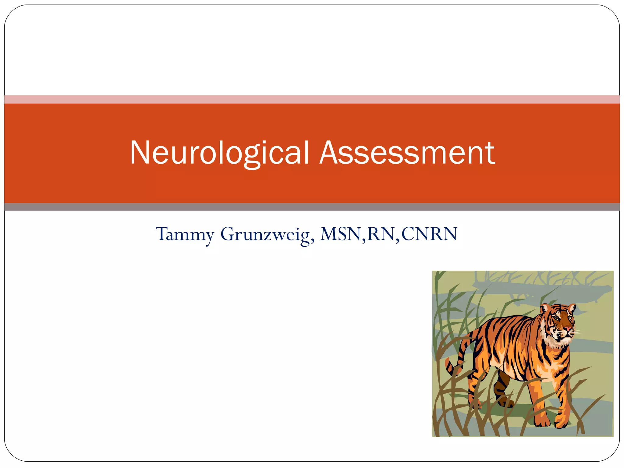 Neurological Assessment97 03 | PPT