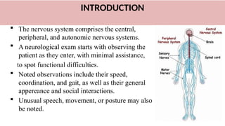 systematic Neurological assessment of human | PPTX
