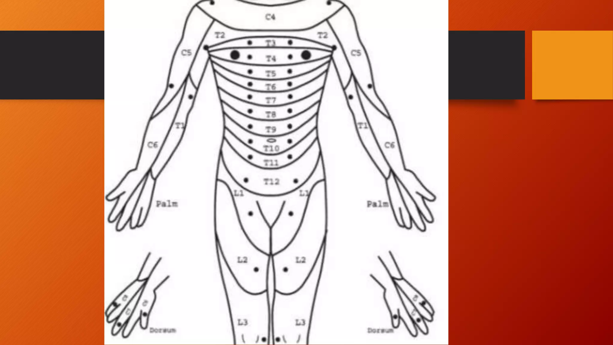 Neurological assessment for asia chart | PPTX