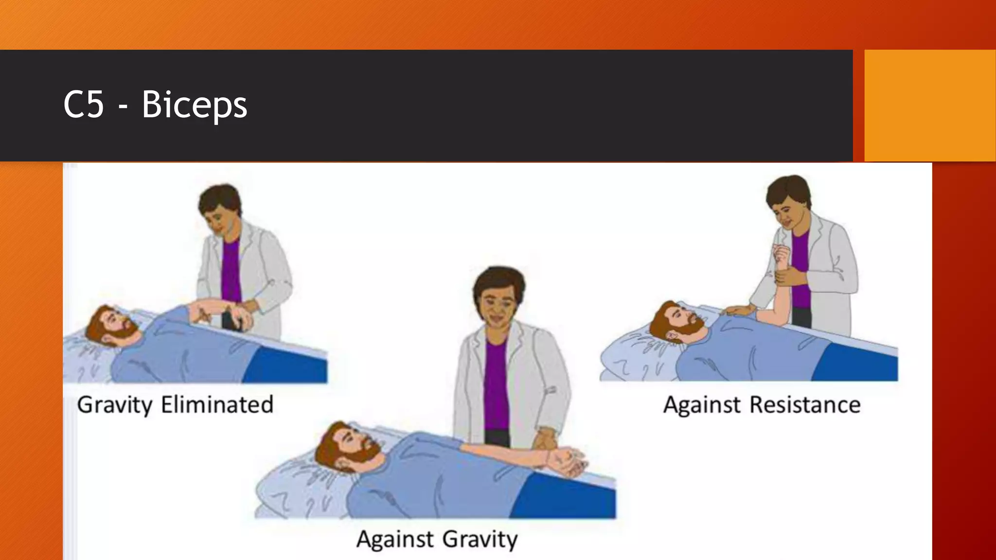 Neurological assessment for asia chart | PPTX