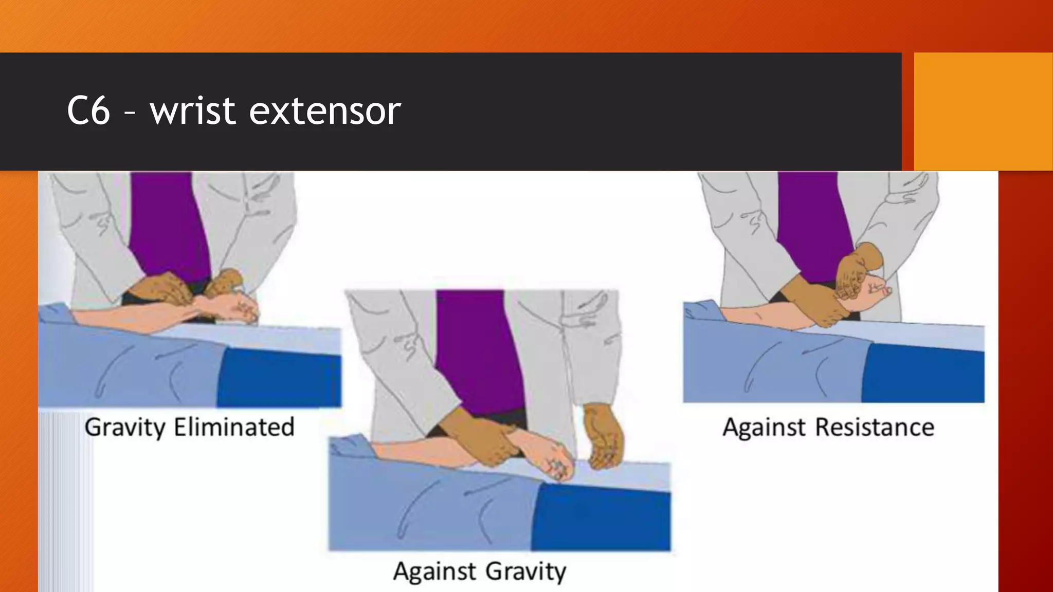 Neurological assessment for asia chart | PPTX