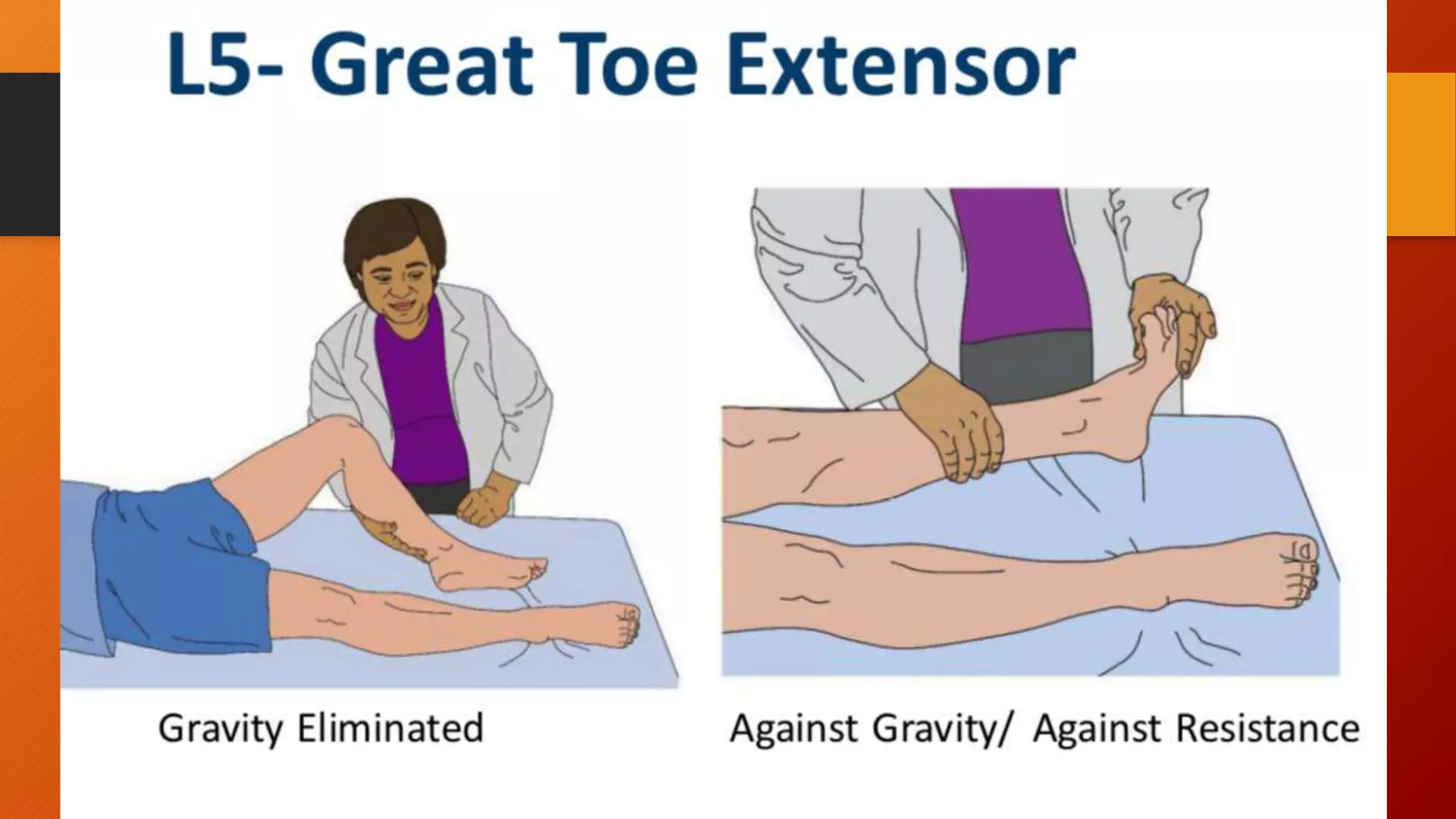 Neurological assessment for asia chart | PPTX
