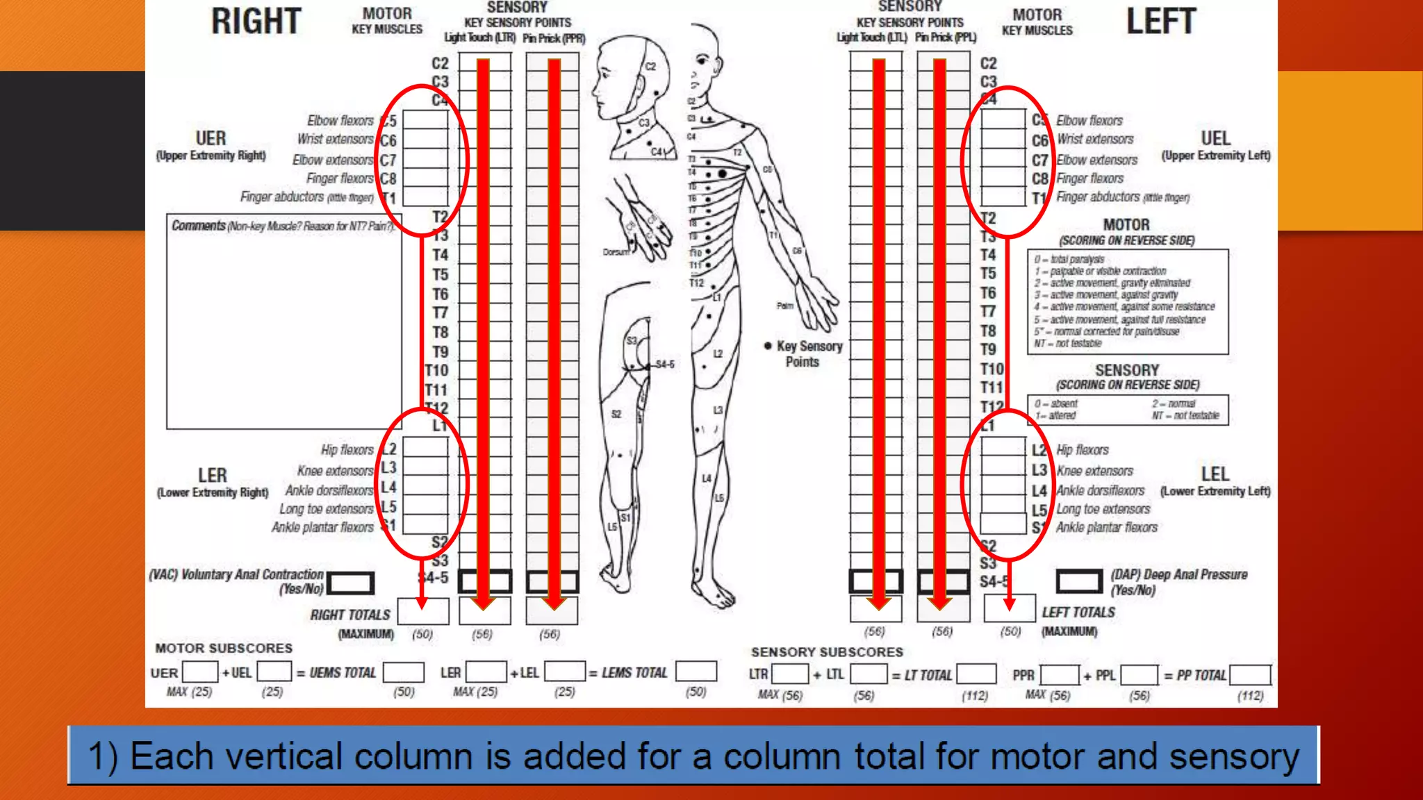 Neurological assessment for asia chart | PPTX