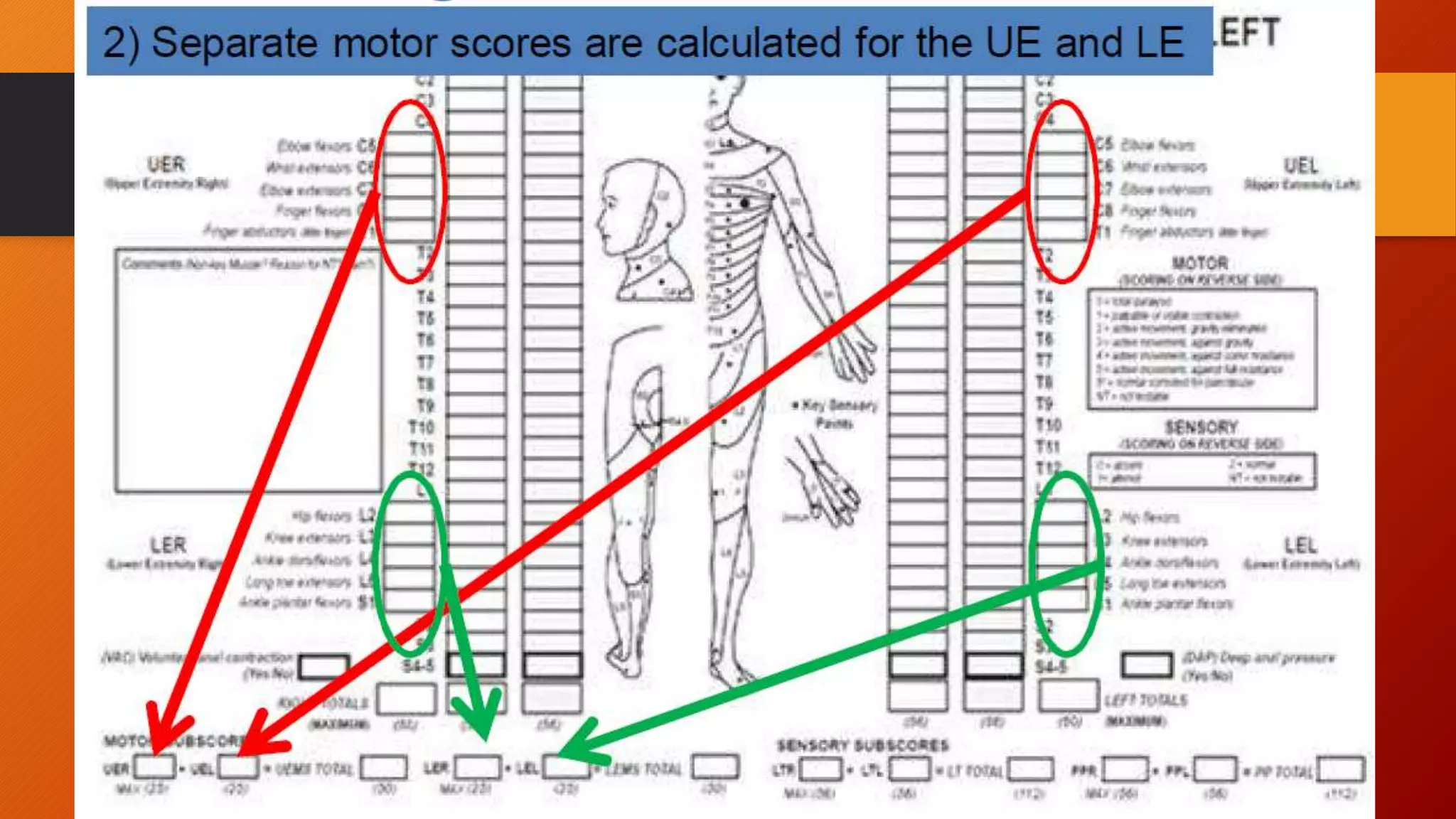 Neurological assessment for asia chart | PPTX