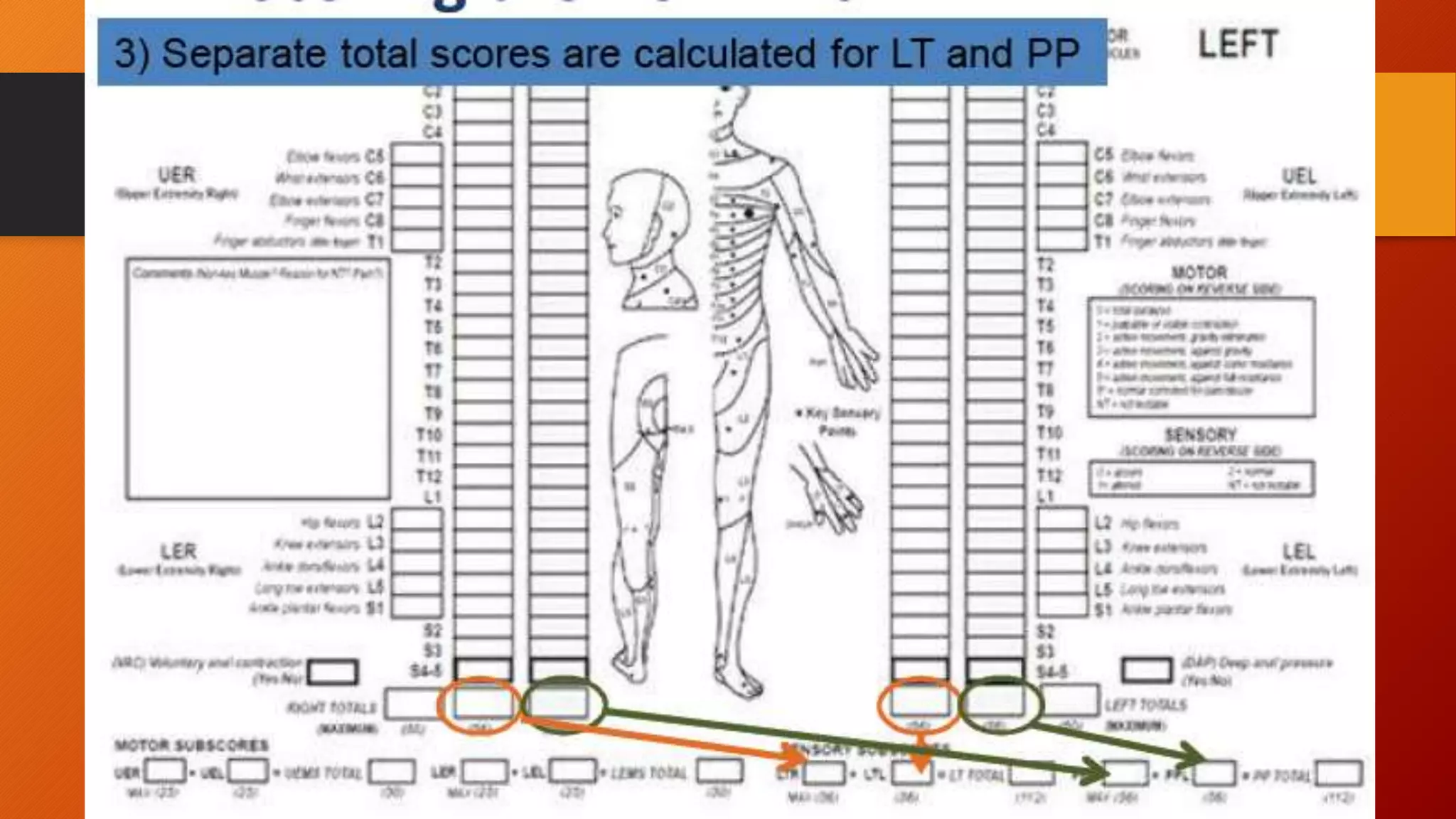 Neurological assessment for asia chart | PPTX