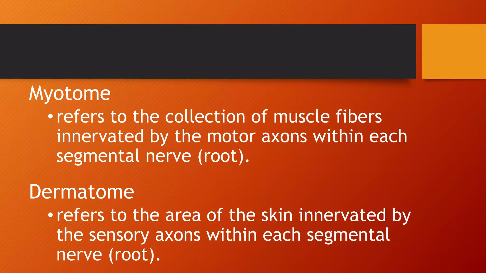 Neurological assessment for asia chart | PPTX | Death, Injury, or ...