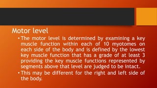 Neurological assessment for asia chart | PPTX