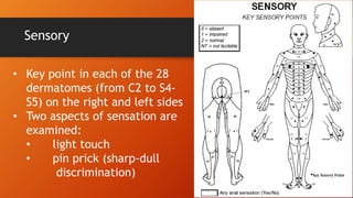 Neurological assessment for asia chart | PPTX