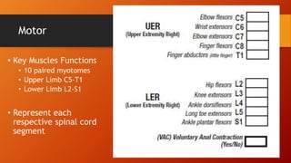 Neurological assessment for asia chart | PPTX
