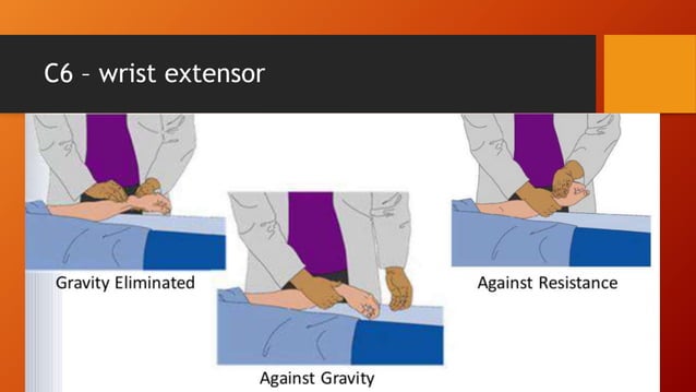 Neurological assessment for asia chart | PPTX | Death, Injury, or ...